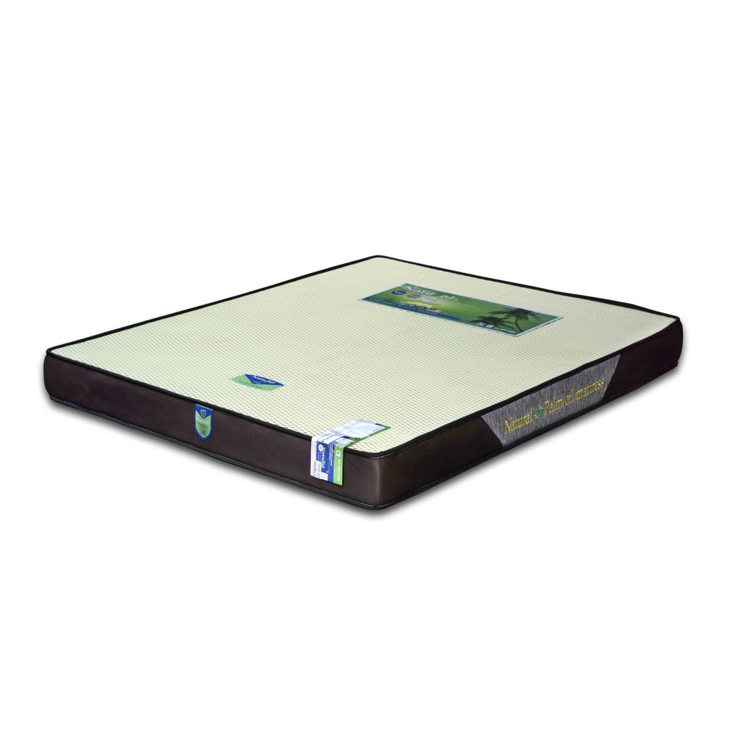 Nệm Cao Su Dầu Cọ Natural Tony Bed Phuthinh.net