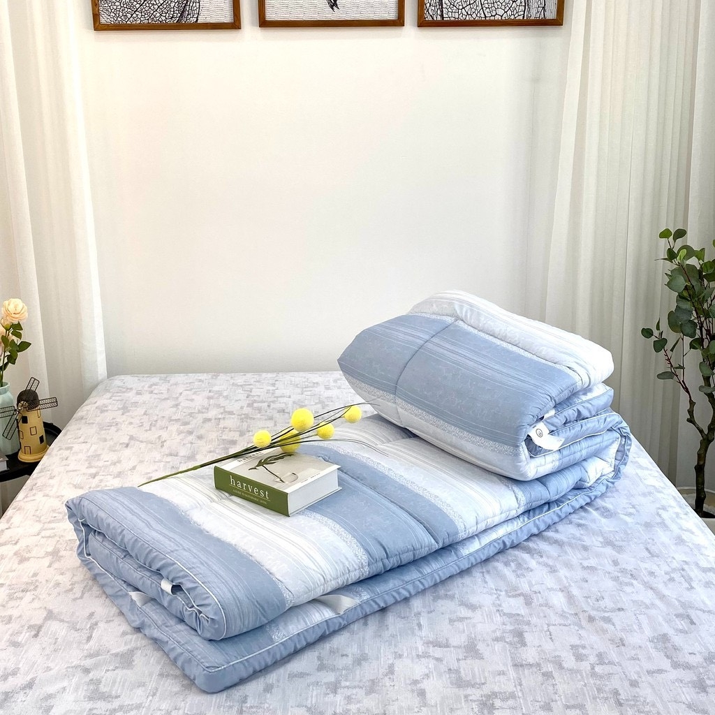 Topper Everon Lite Phuthinh.net