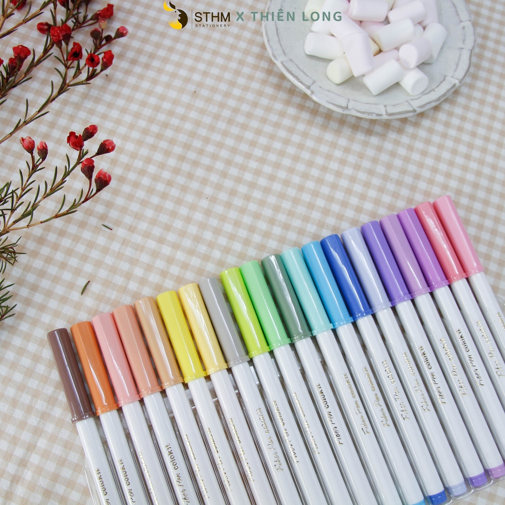 Fiber Pen Thiên Long - Bút viết Calligraphy - 20 màu và 36 màu STHM.VN