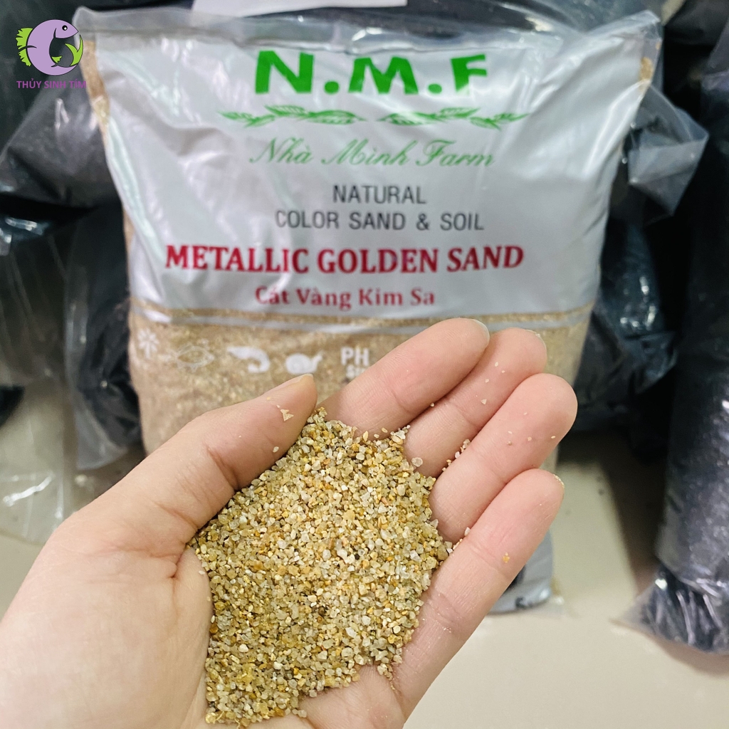 Cát Vàng Kim Sa: Bí Mật Đằng Sau Vẻ Đẹp Lấp Lánh và Ý Nghĩa Phong Thủy