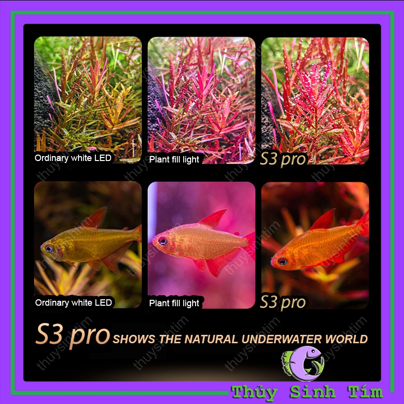 Đèn Flat Nano S3 | Thủy Sinh Tím