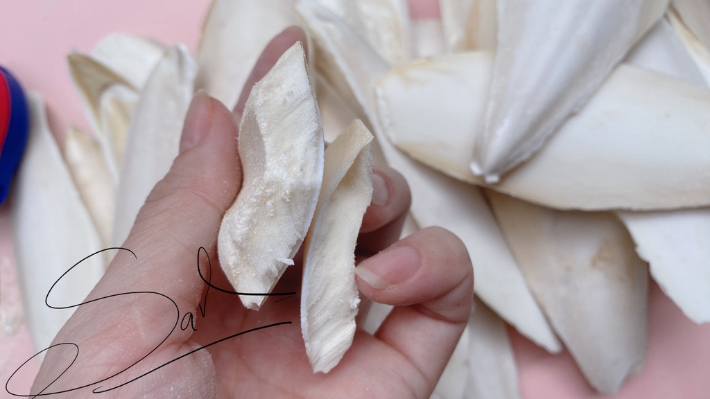 VIETNAM ANIMAL FEED - CUTTLEFISH BONE - FISH SCALES AND SEAWEEDS ...