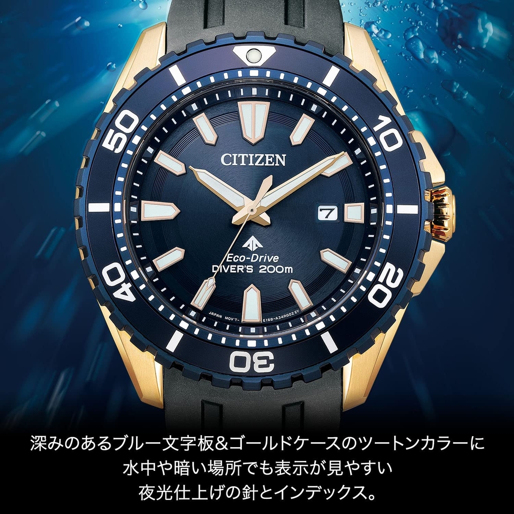 Đồng Hồ Chính Hãng Citizen - PROMASTER Professional Master BN0196-01L ...