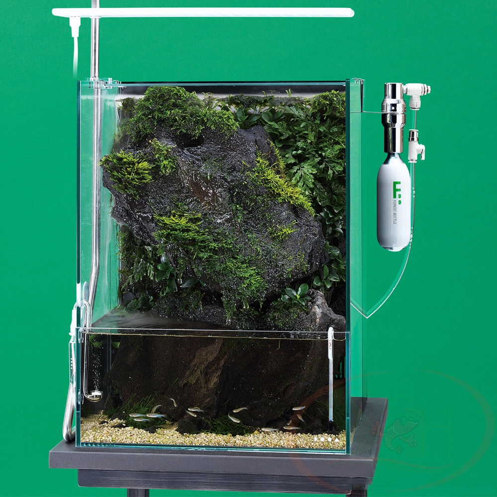 Bộ kit co2 DOOA Co2 System Kit mini tiện dụng bể nano - Shrimp Home