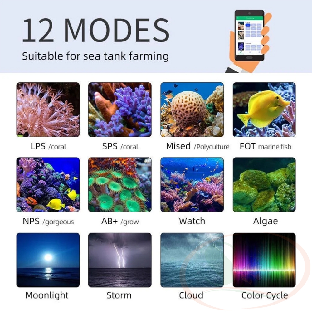 Đèn led biển Week Aqua Z Sea Marine Z400 quang phổ mặn - Shrimp Home