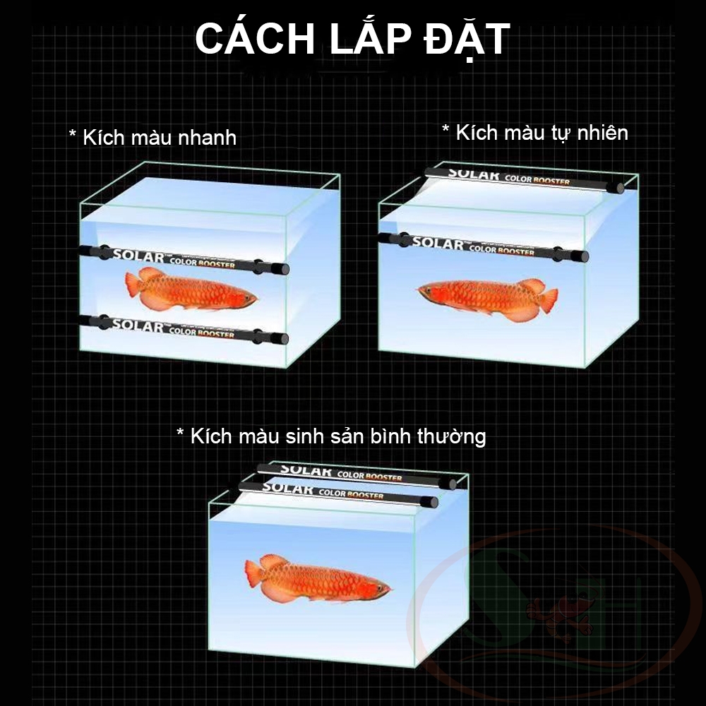 Đèn led Neo Helios Solar Color Booster ST series màu - Shrimp Home