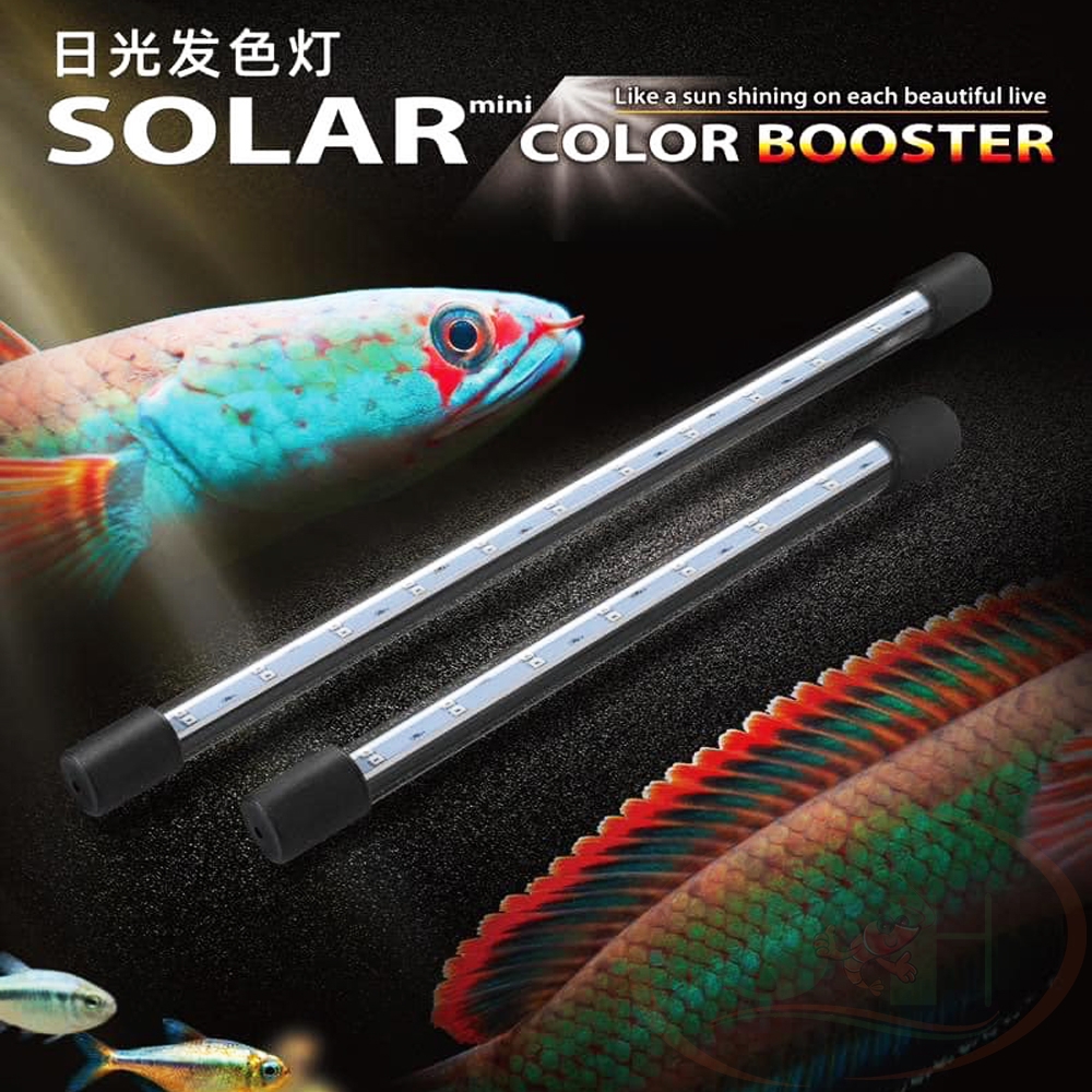 Đèn led Neo Helios Solar Color Booster ST series màu - Shrimp Home