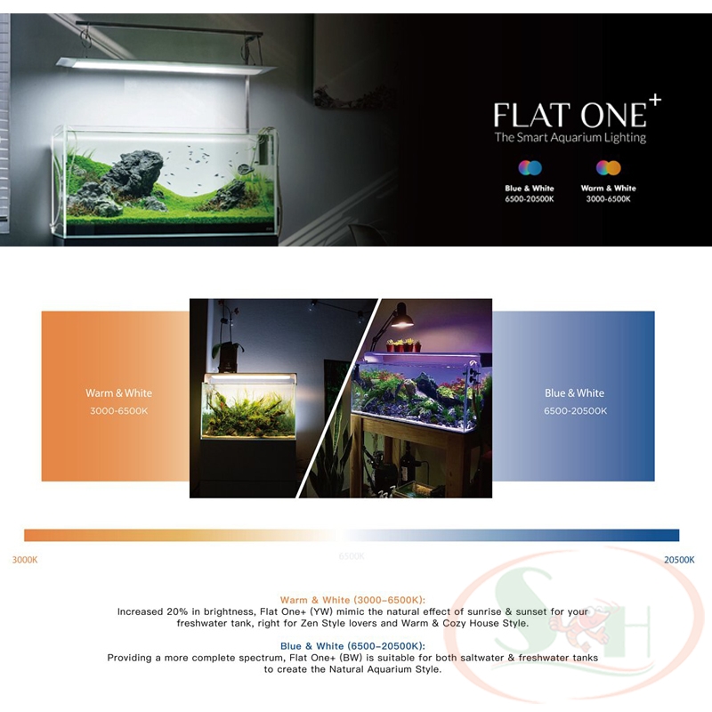 Đèn led ONF Flat One+ 60, 90 cm Blue Yellow White cá tép - Shrimp Home