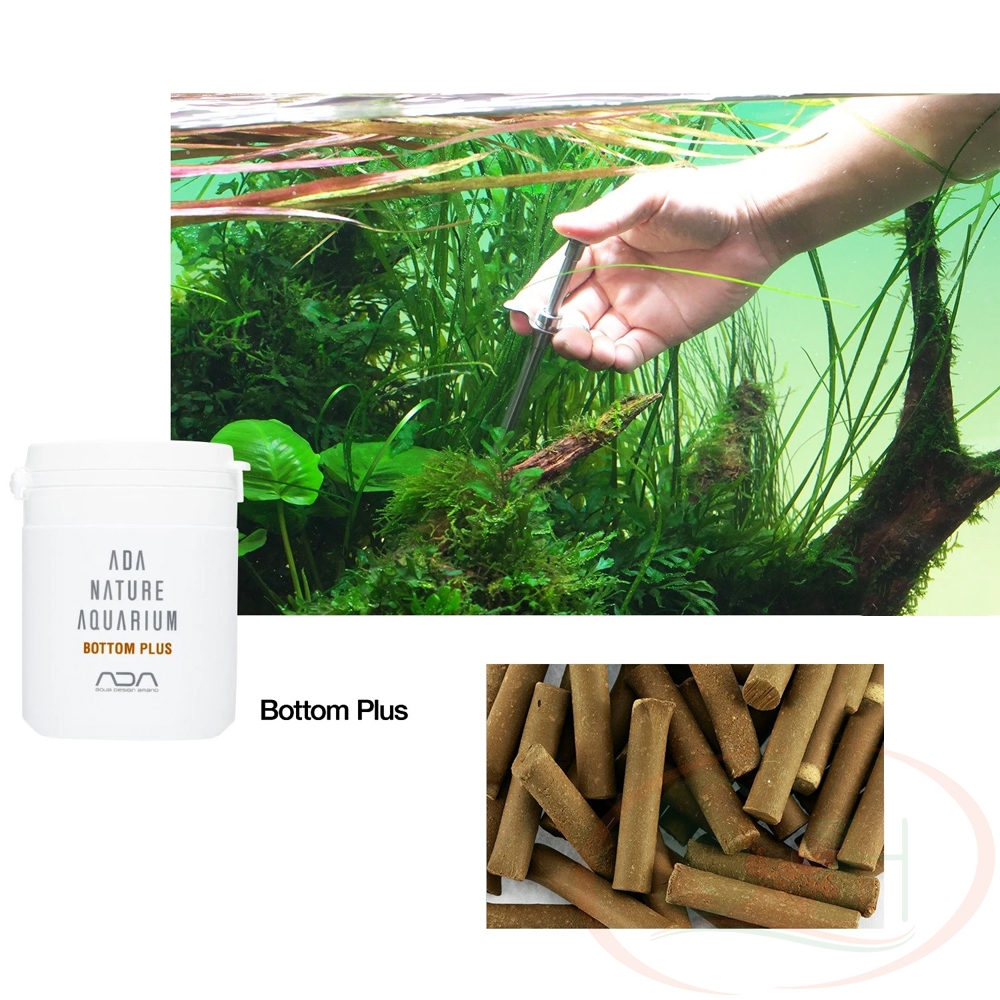 Phân nhét ADA Bottom Plus bổ sung dinh dưỡng substrat - Shrimp Home