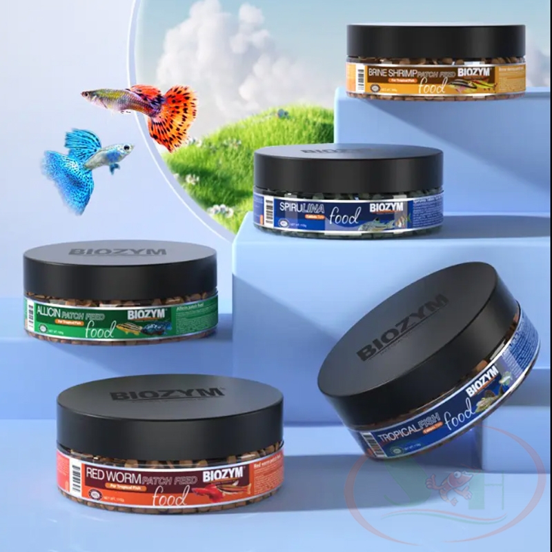 Thức ăn cá Biozym Brine Shrimp Patch Feed viên dán - Shrimp Home