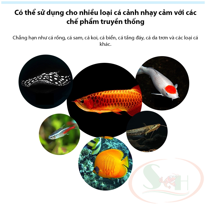 Thuốc trị bệnh Biozym Bacterial Control trị nấm khuẩn - Shrimp Home