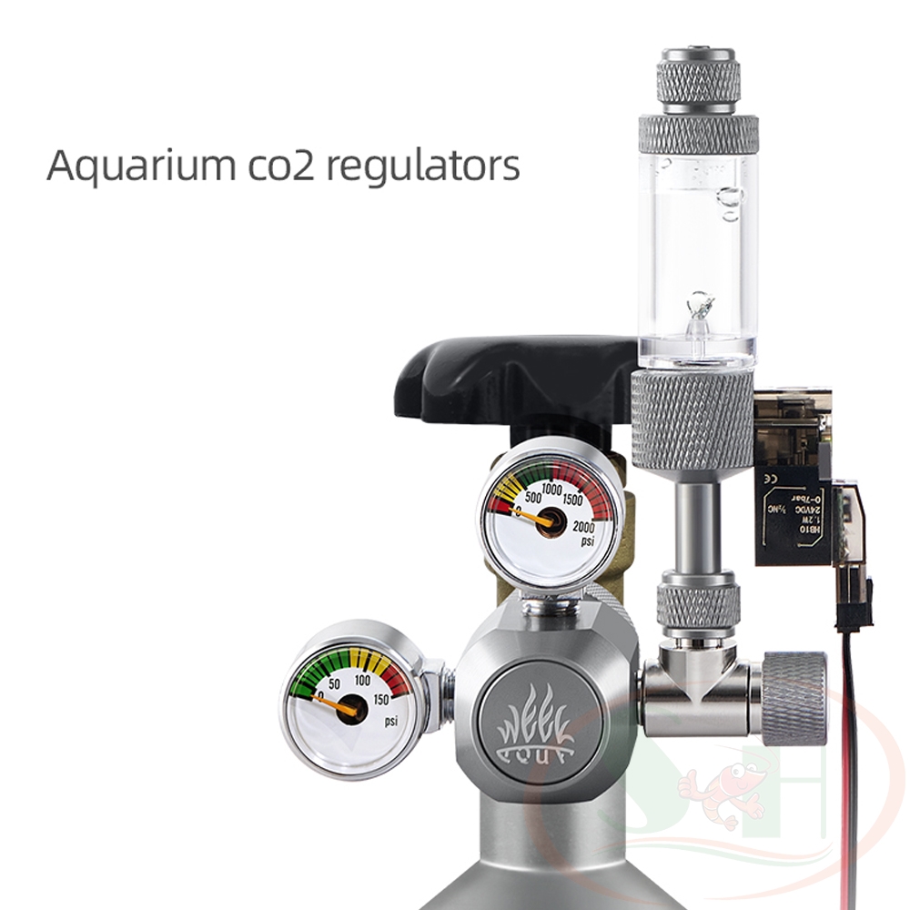 Van co2 Week Aqua Regulator Meter Solenoid cơ / điện - Shrimp Home