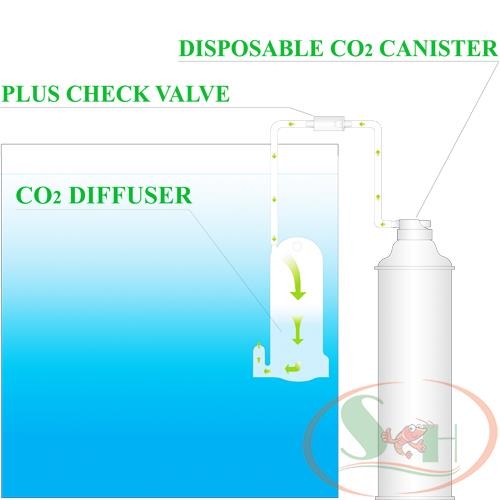 Ista Co2 Starter Set - Bộ co2 kit Ista nhỏ, tiện dụng | Shrimp Home