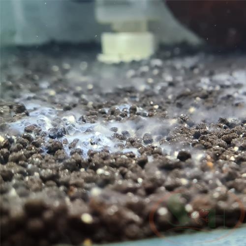 Vi sinh bột SL-Aqua Magic Enzyme 3in1 setup bể cá tép - Shrimp Home