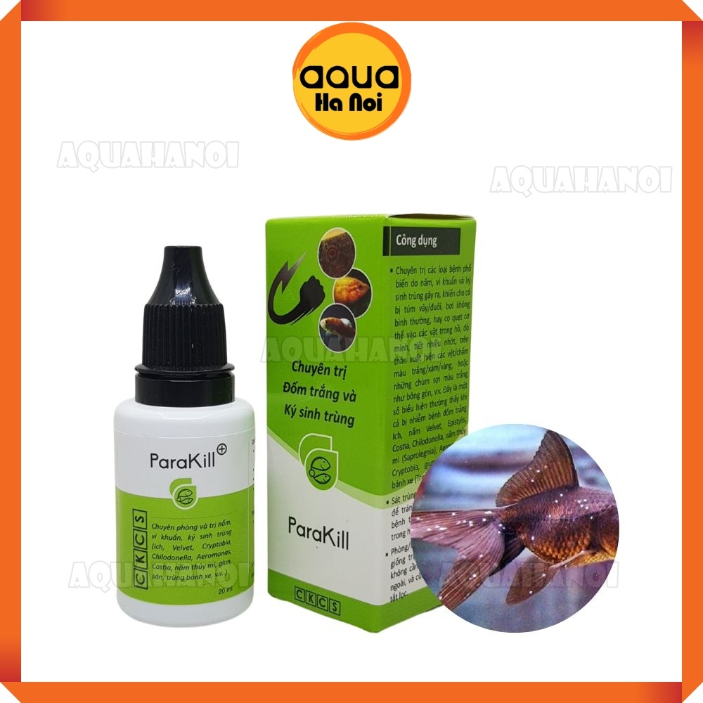 Parakill - Chuyên trị đốm trắng và kí sinh trùng - giúp làm giảm stress ...