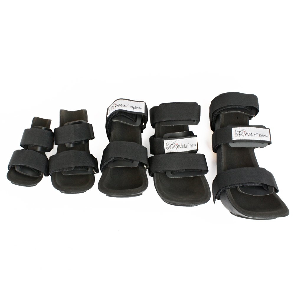 Nẹp Chân Cún Mèo [Chân Trước] Walkin' Pet Splint - Canine Bootie Style ...