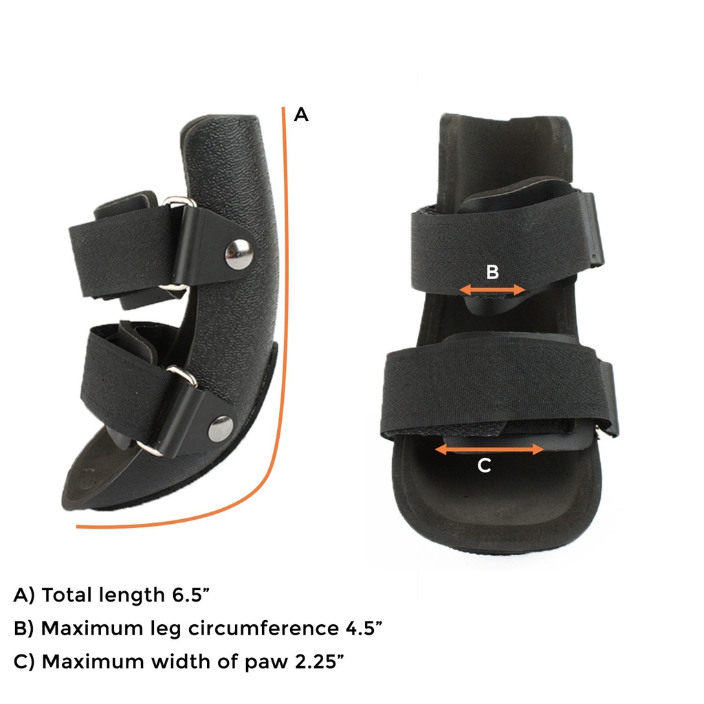 Nẹp Chân Cún Mèo [Chân Trước] Walkin' Pet Splint - Canine Bootie Style ...