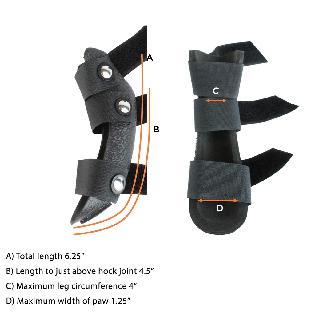 Nẹp Chân Cún Mèo [Chân Sau] Walkin' Pet Splint - Canine Rear Leg ...
