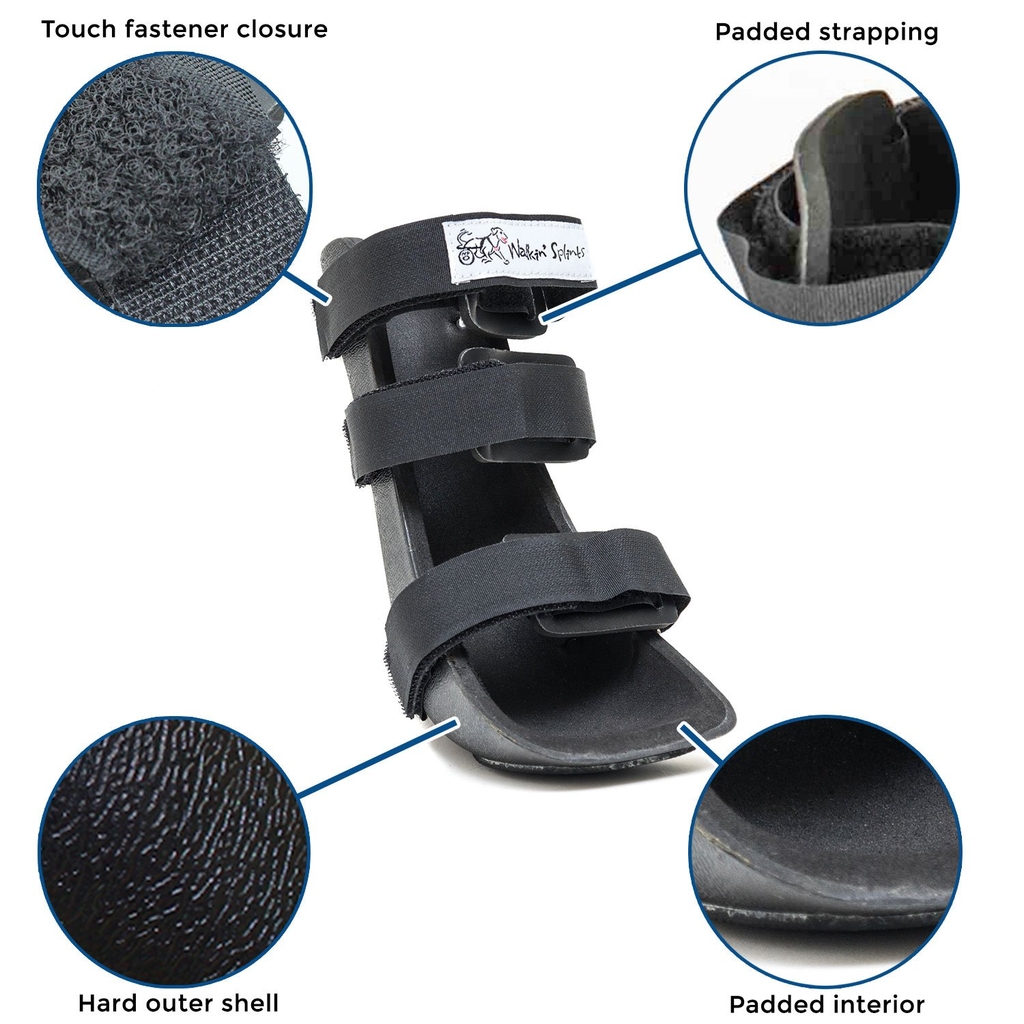 Nẹp Chân Cún Mèo [Chân Sau] Walkin' Pet Splint - Canine Rear Leg ...