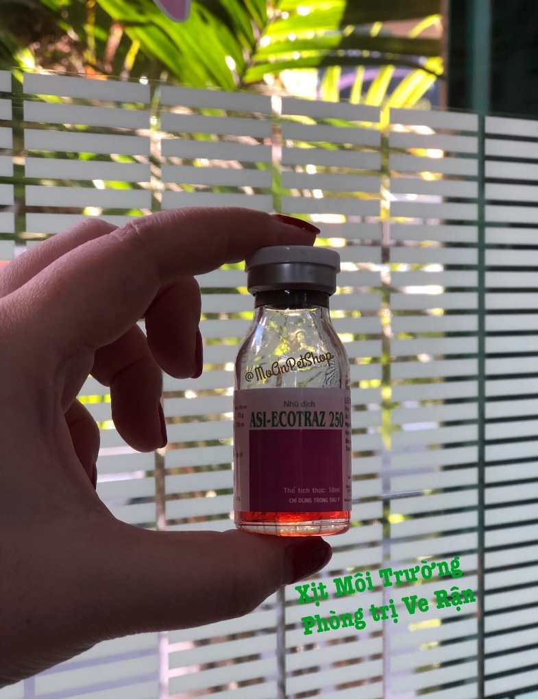 Thuốc Xịt Môi Trường Phòng Trị Ve Rận ASI-ECOTRAZ 250 Việt Nam 10ml ...