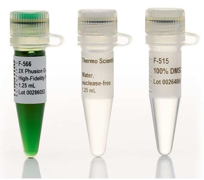 Phusion™ Hot Start II High-Fidelity DNA Polymerase Master Mix | CÔNG TY ...