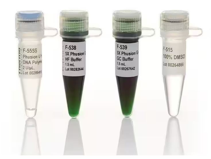 Phusion U Hot Start DNA Polymerase | CÔNG TY CỔ PHẦN KỸ THUẬT VÀ SINH ...