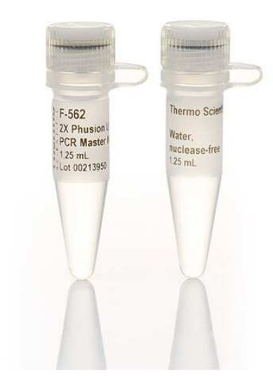 Phusion U Multiplex PCR Master Mix | CÔNG TY CỔ PHẦN KỸ THUẬT VÀ SINH ...