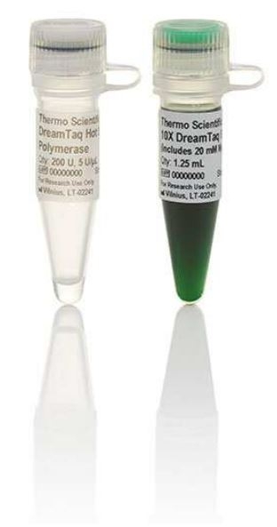 DreamTaq™ Hot-Start DNA Polymerases and Master Mix | CÔNG TY CỔ PHẦN KỸ ...
