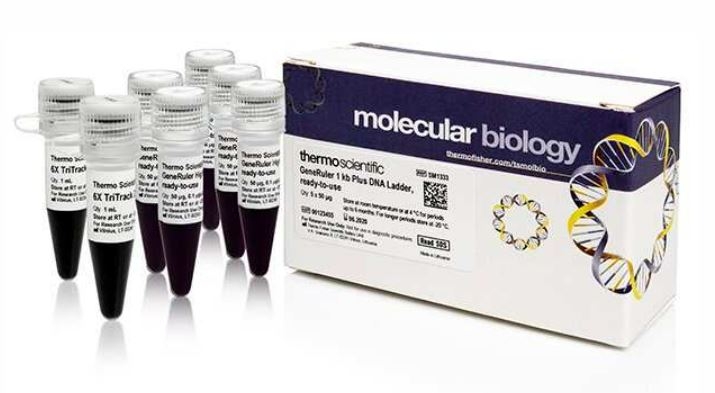 Thermo Scientific GeneRuler™ DNA Ladders (Thang DNA điện di) | CÔNG TY ...