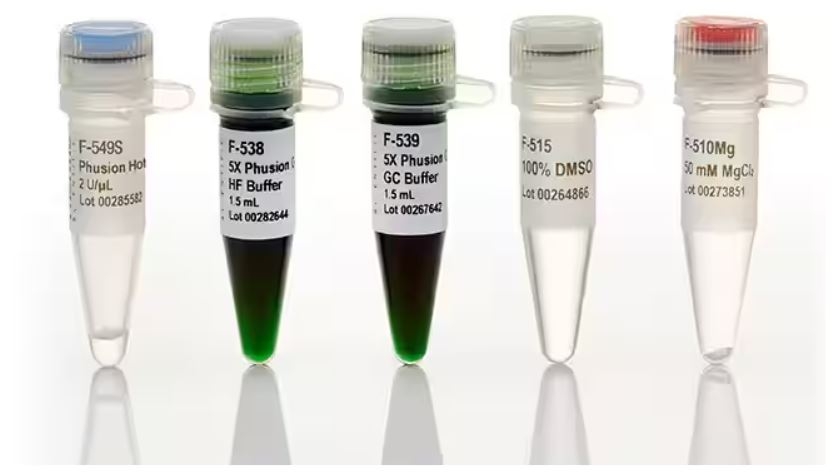 Phusion™ Hot Start II High-Fidelity DNA Polymerase | CÔNG TY CỔ PHẦN KỸ ...