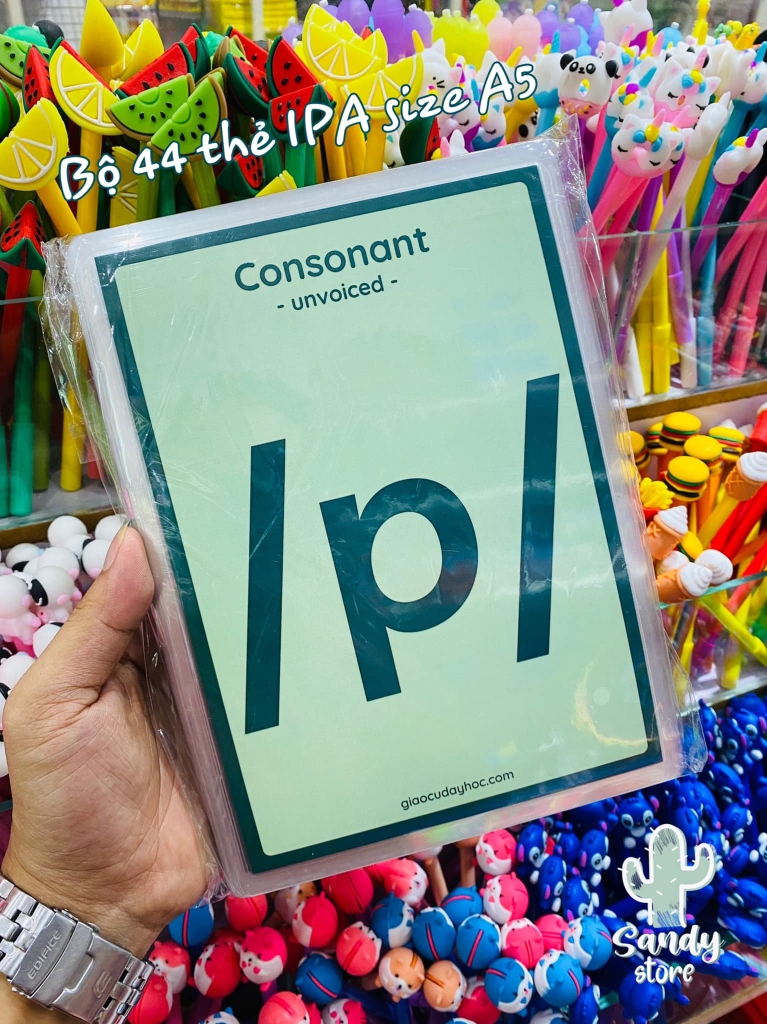 BỘ 44 THẺ IPA SIZE CƠ BẢN & SIZE LỚN(A5) - Sandy Store