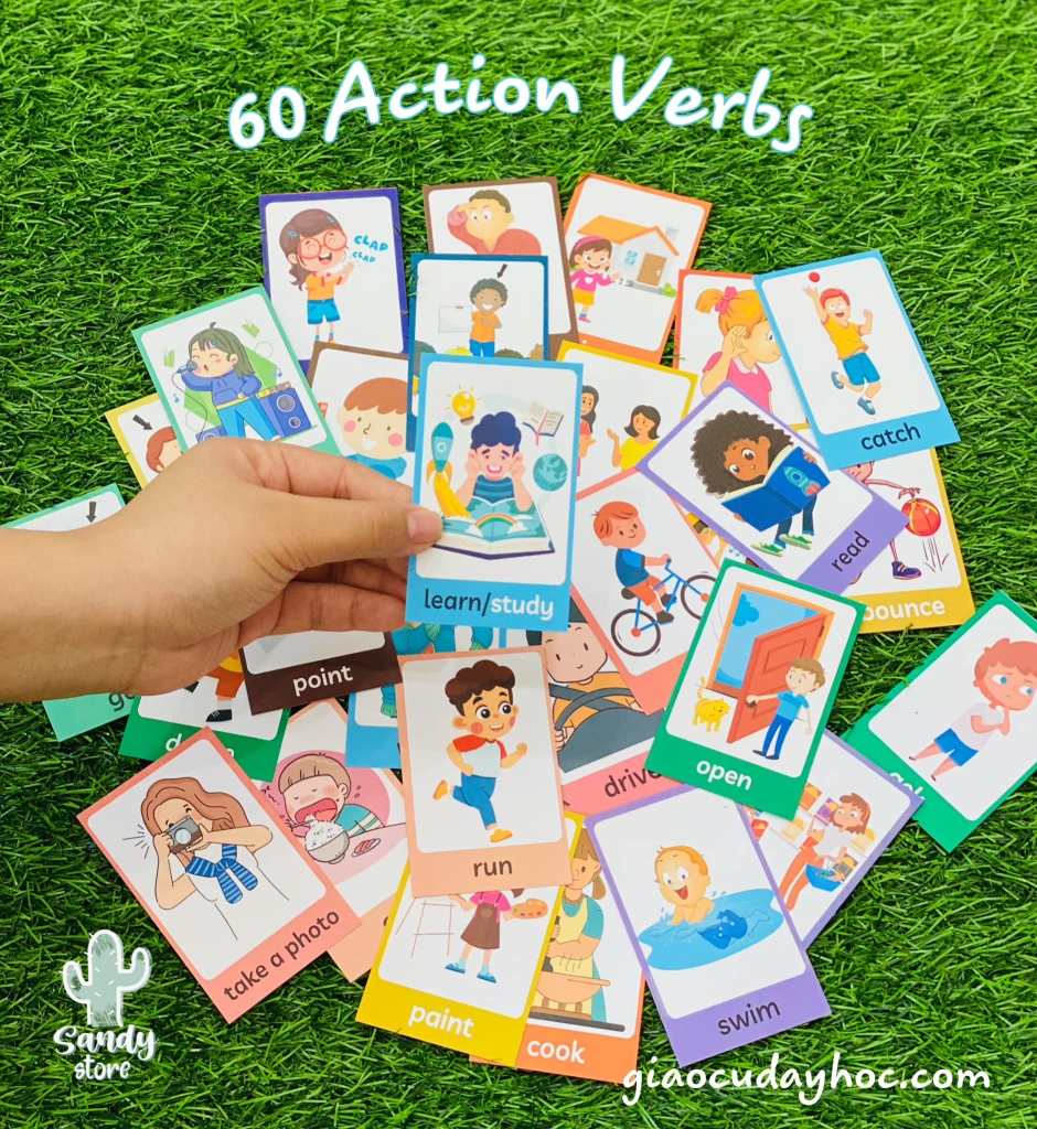 Bộ Thẻ 60 Động Từ - Action Verbs - Sandy Store