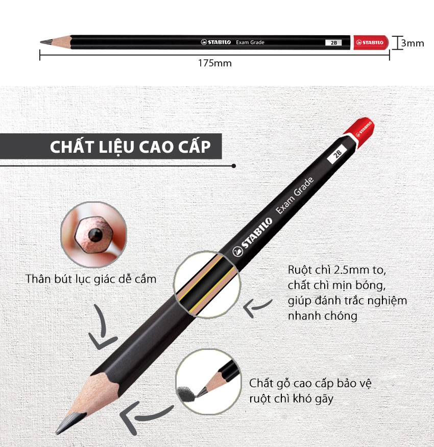 Bút chì gỗ STABILO Exam Grade 288(T) HB/2B CÔNG TY TNHH PHÁT TRIỂN THỊ ...