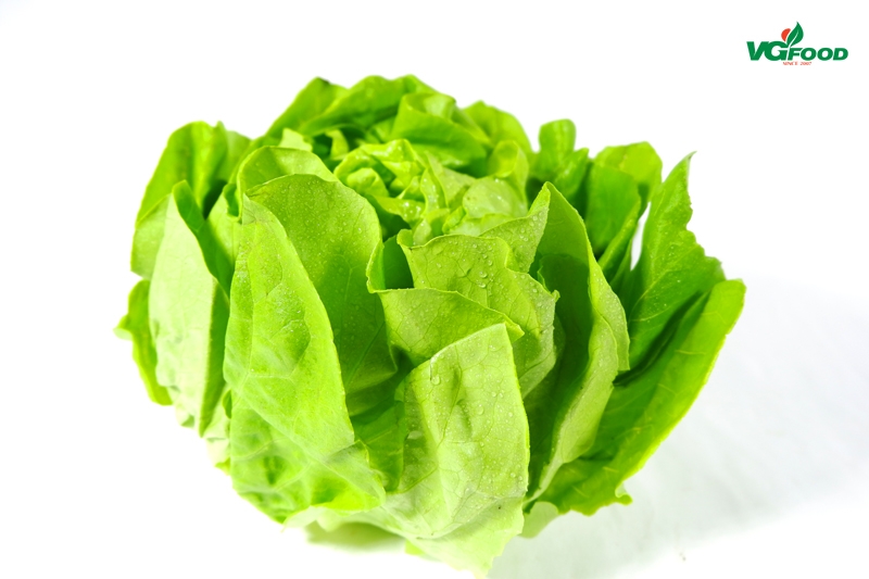Xà lách mỡ (200-400g/ 2 búp) | VGFood