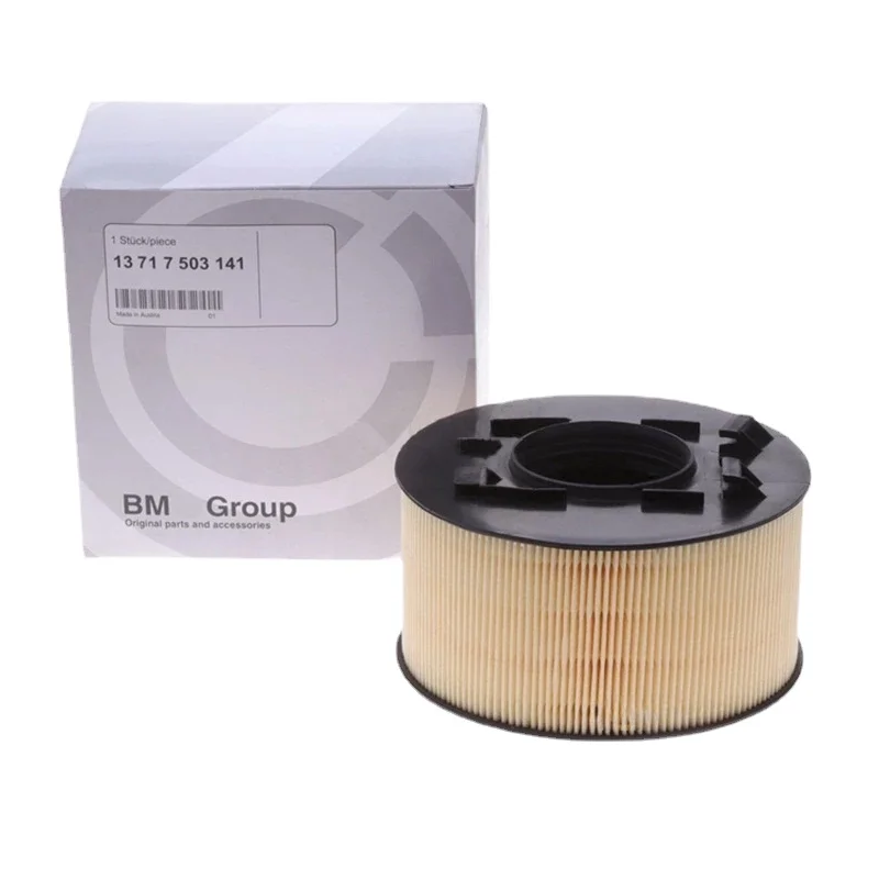 Lọc gió động cơ 13717503141 | G7Auto.vn