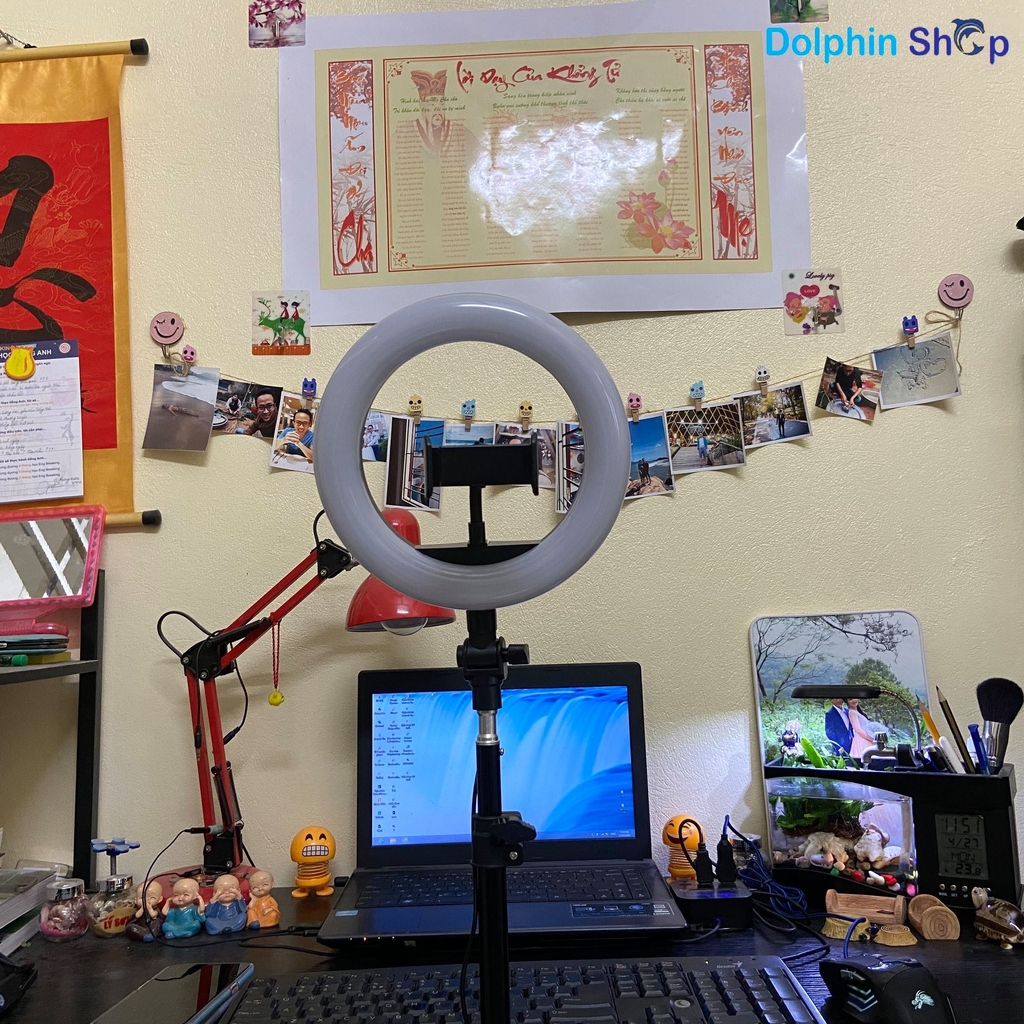 Đèn Livestream Size 20cm Dành Cho Bán Hàng Online, Mỹ Phẩm Dolphin Shop