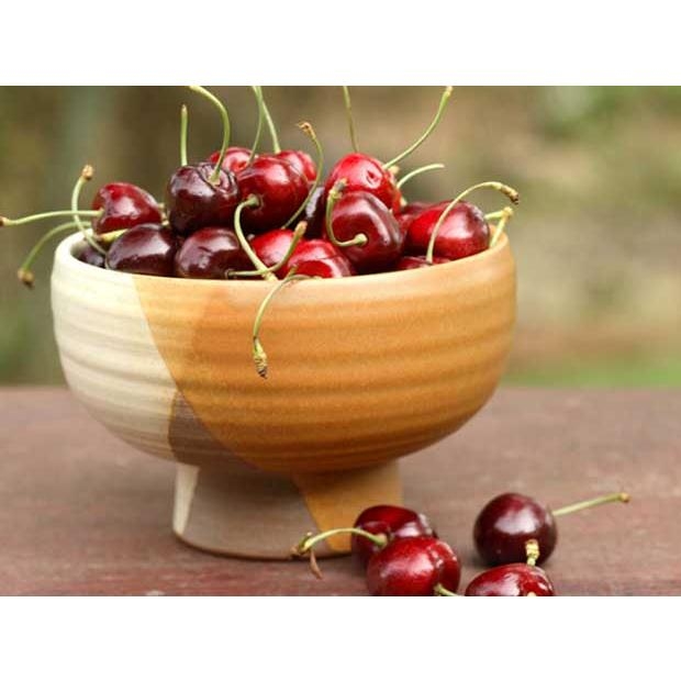 Quả cherry Mỹ nhập khẩu - Giá cherry hôm nay | CleverFood - Binh đoàn ...