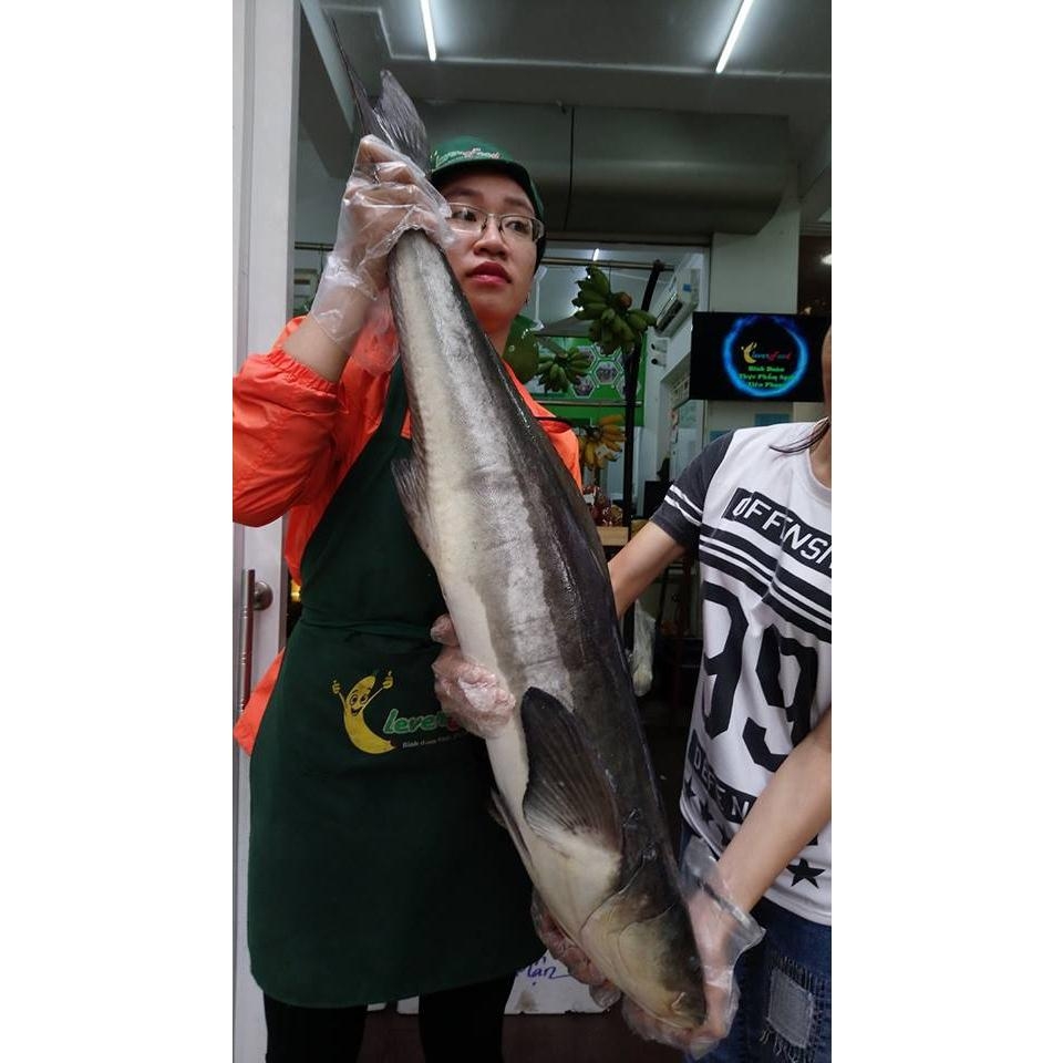 Cá bốp Phú Quốc - Đặc sản không thể bỏ qua | CleverFood - Binh đoàn ...