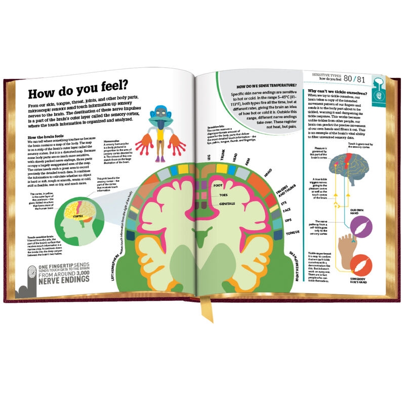 HOW THE BODY WORKS HIỆU SÁCH NGOẠI VĂN