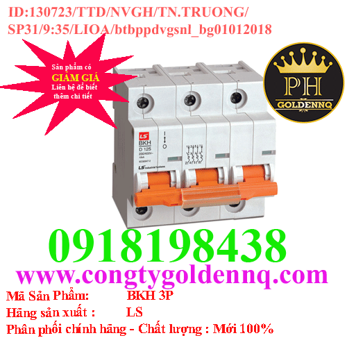 MCB LS BKH 10kA 3P 80A-100A | Công Ty TNHH Tổng Hợp Quốc Tế Golden NQ