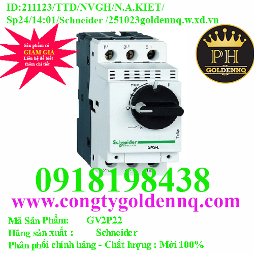 Cầu dao bảo vệ động cơ GV2P22 Schneider | Công Ty TNHH Tổng Hợp Quốc Tế ...