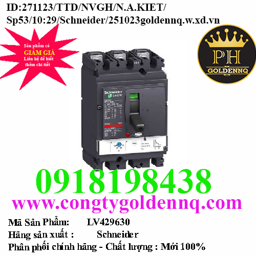 Cầu dao LV429630 Schneider | Công Ty TNHH Tổng Hợp Quốc Tế Golden NQ
