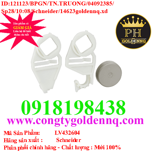 Ổ khóa tay nắm xoay LV432604 Schneider | Công Ty TNHH Tổng Hợp Quốc Tế ...