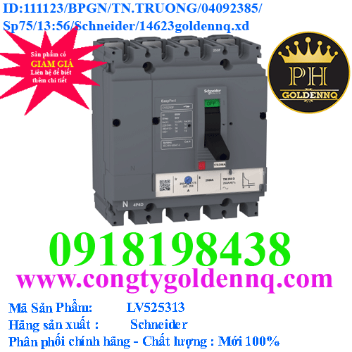 Cầu dao chỉnh dòng MCCB LV525313 Scheider | Công Ty TNHH Tổng Hợp Quốc ...