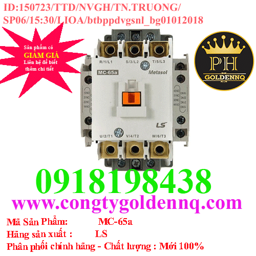Contactor LS MC-65a 30kW 2NO+2NC | Công Ty TNHH Tổng Hợp Quốc Tế Golden NQ