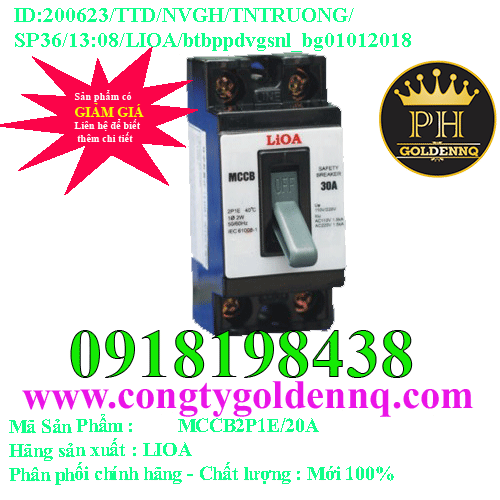 Cầu dao tự động an toàn (Aptomat) MCB MCCB2P1E/20A | Công Ty Quốc Tế Golden NQ