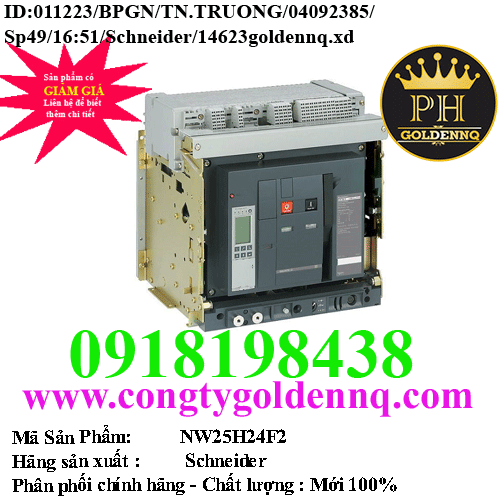Máy cắt khí ACB NW25H24F2 Schneider | Công Ty TNHH Tổng Hợp Quốc Tế Golden NQ