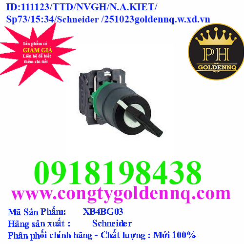 Chuyển mạch có khóa XB4BG03 Schneider | Công Ty TNHH Tổng Hợp Quốc Tế Golden NQ