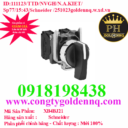 Chuyển mạch XB4BJ21 Schneider | Công Ty TNHH Tổng Hợp Quốc Tế Golden NQ