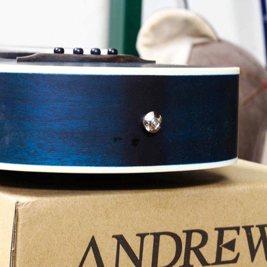 Đàn Ukulele Andrew 805 / 905 Concert Tenor - Ukulele Andrew Xanh Ombre ...